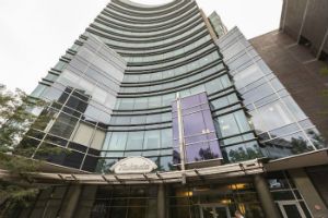 First-of-its-kind stem cell therapy, Alofisel, approved in Japan | The ...